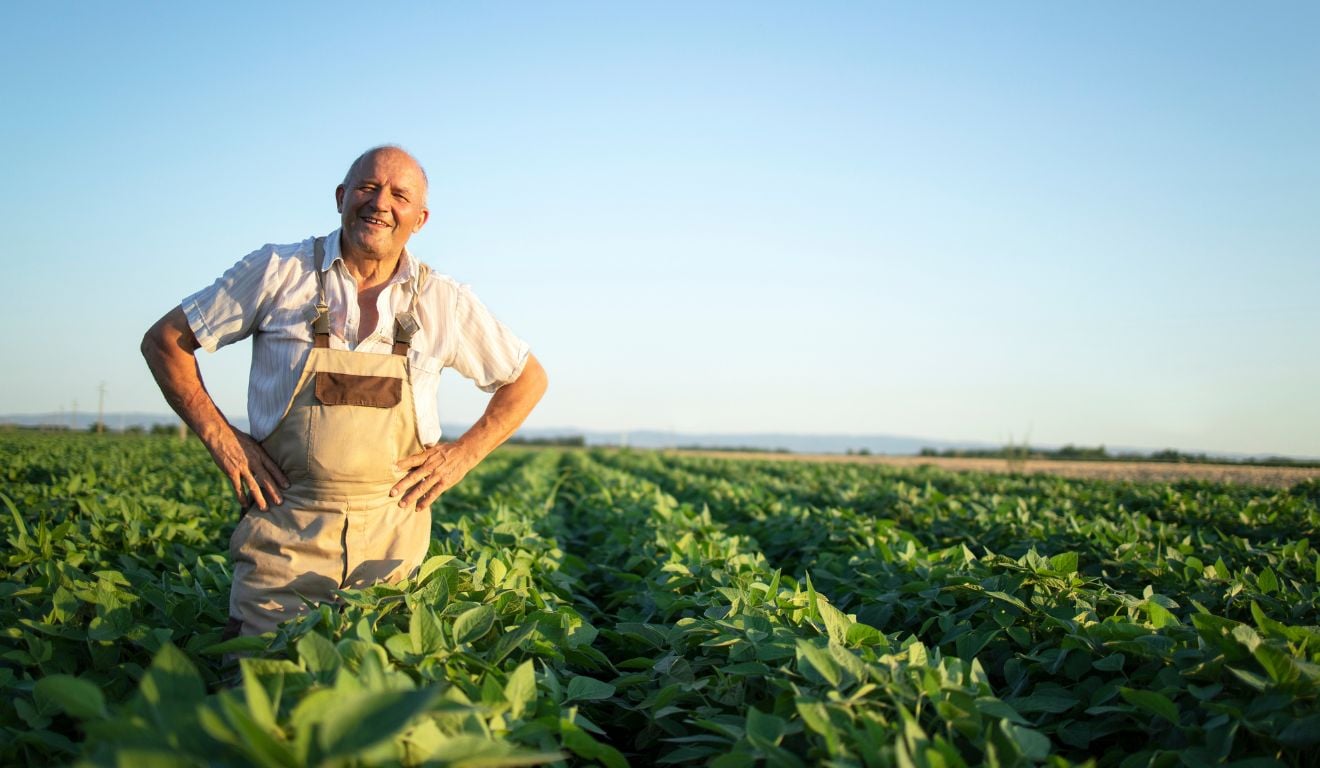 Conheça 4 culturas em que o Brasil é líder mundial de produção - Broto ...